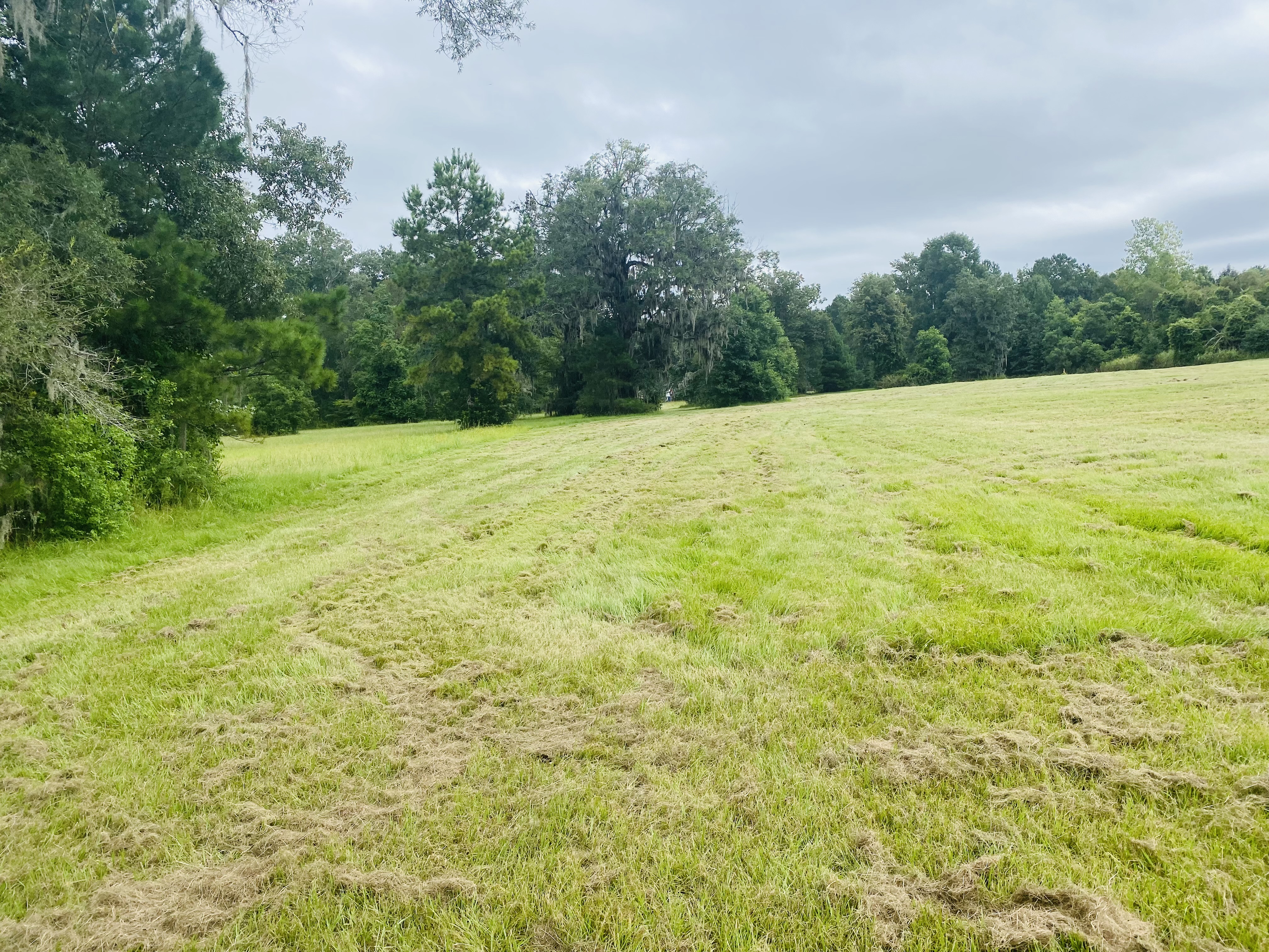 Locations Hub - Production Ready - Large Southern Charm Location for ...