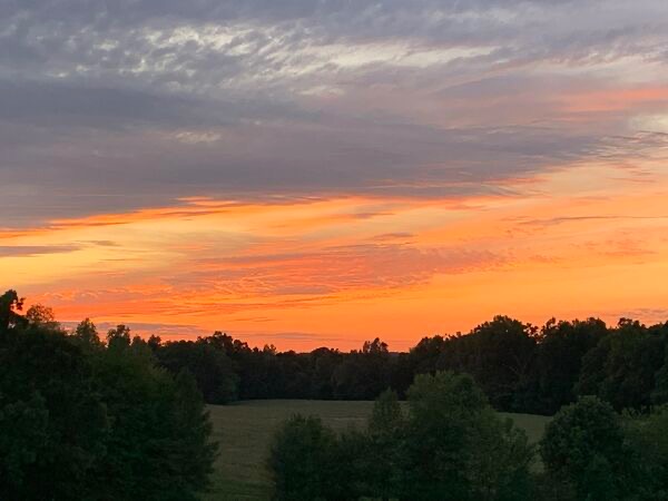 Locations Hub - Duvall Family Farms