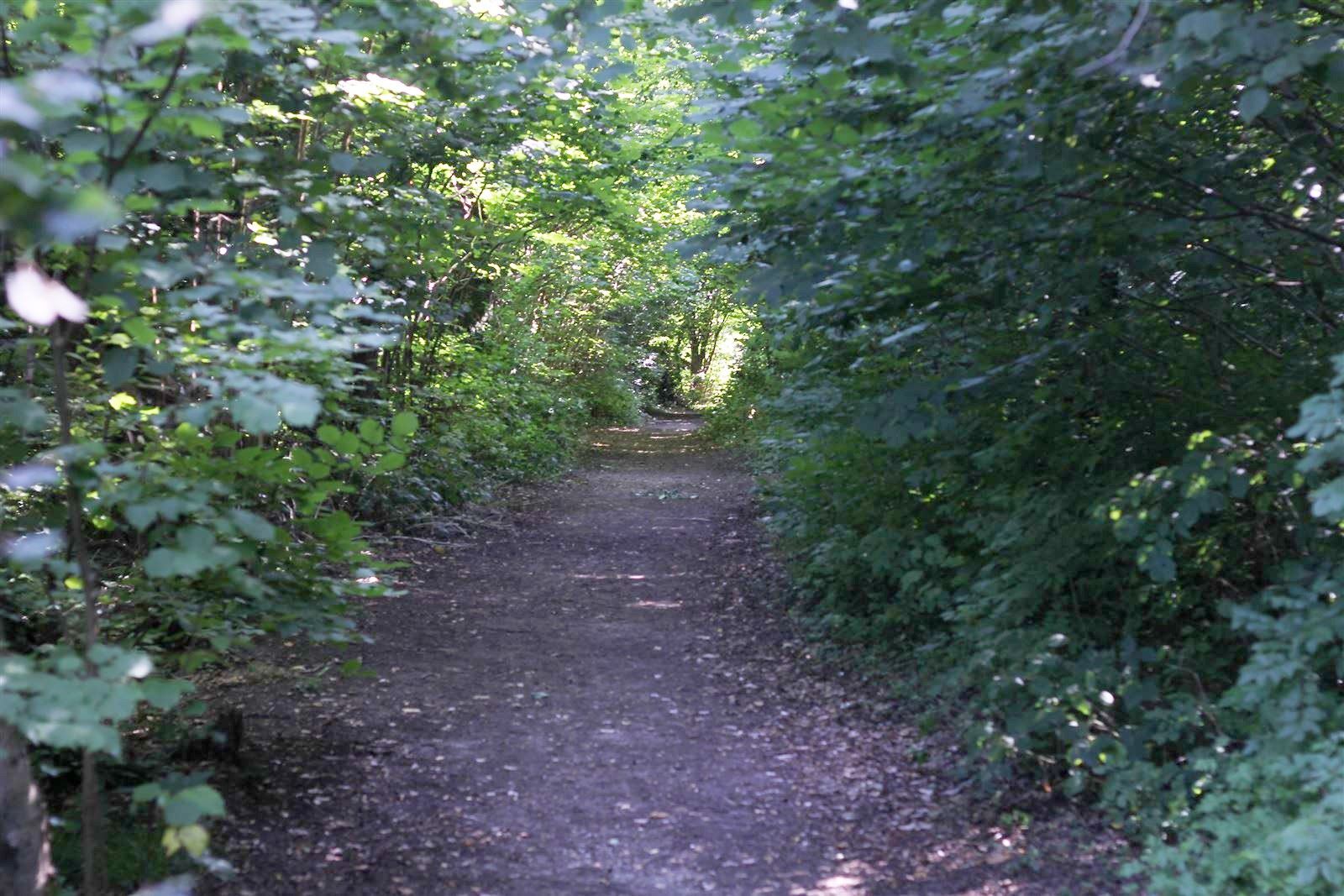 Locations Hub - Croham Hurst