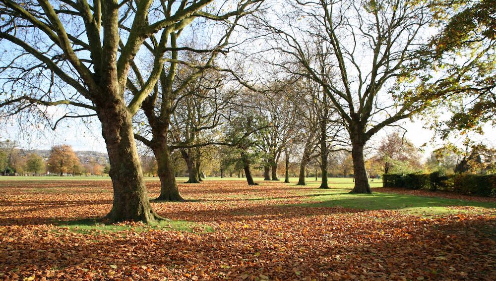 Locations Hub - Hendon Park