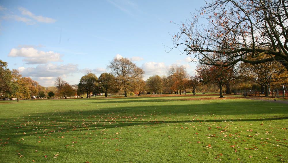 Locations Hub - Hendon Park