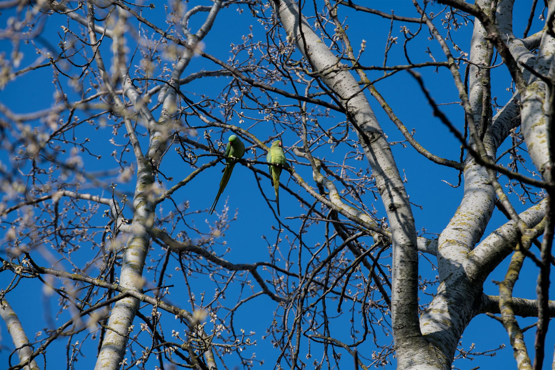 Locations Hub - Thamesmead - Birchmere Park