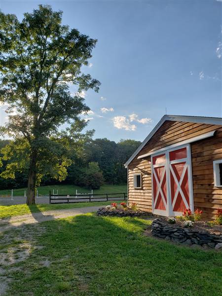 Locations Hub - Horse Farm in Hudson Valley