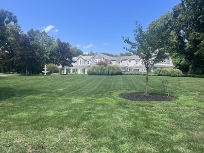 Locations Hub - The Anthonys Home